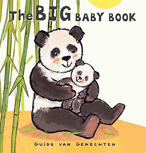 Amazon.com: The Big Baby Book (Big Board Books): 9781605370798 ...