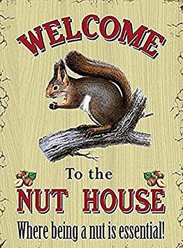 Metal Signs – Welcome to The Nut House – 15 x 20 cm Steel Sign : Amazon ...