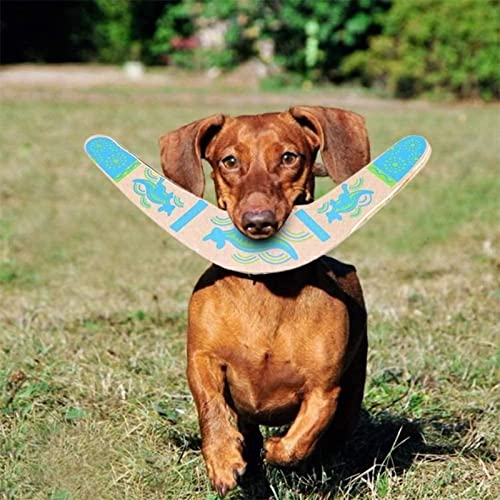 The 28 Best Boomerangs for Kids of 2025 [Verified] - Cherry Picks