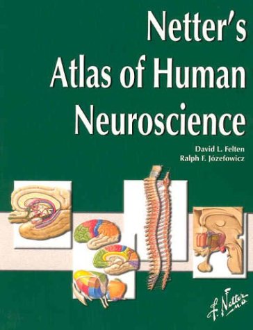 Netter's Atlas of Neuroscience (Netter Basic Science) : Felten, David L ...