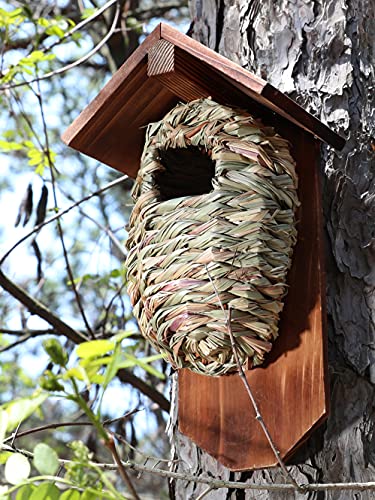 Top 20 Best Robins Birdhouses of 2022 (Reviews) - FindThisBest