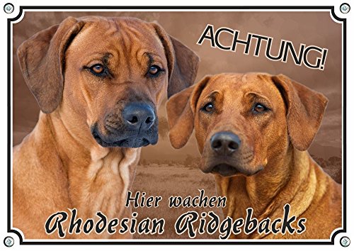 Rhodesian Ridgeback Schilder – Die 15 besten Produkte im Vergleich ...