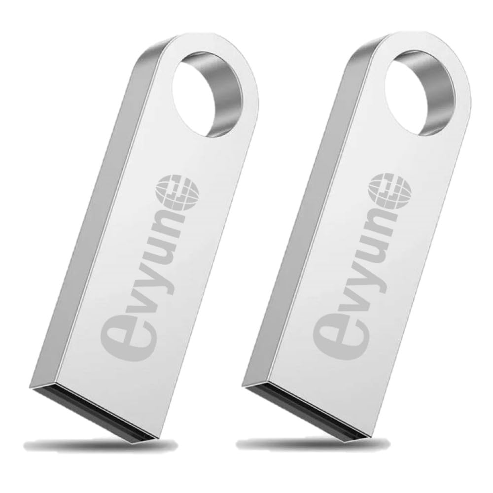 Evyune® Nanook USB 2.0 Metal Pen Drive Silver (32GB & 64GB) : Amazon.in ...