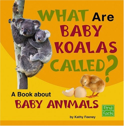 What Are Baby Koalas Called?: A Book About Baby Animals (First Facts ...