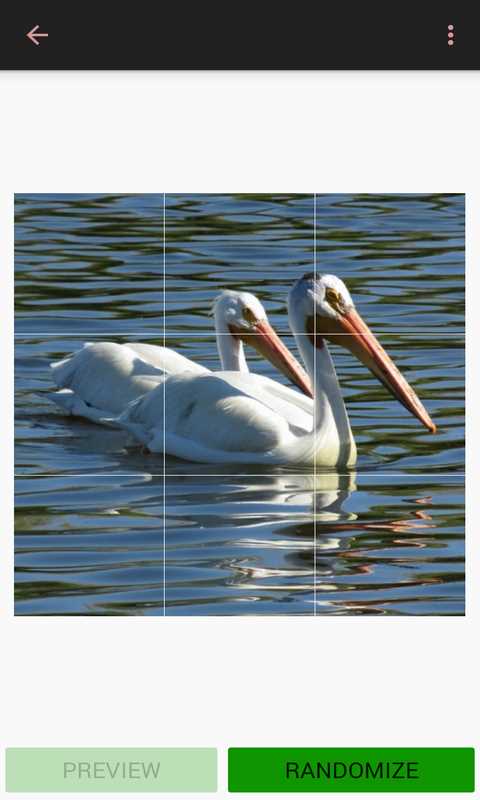 Polymo - App on Amazon Appstore