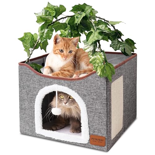 Cat Cube – The 15 best products compared - Wild Explained