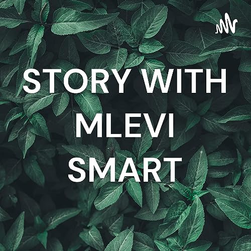 Amazon.com: STORY WITH MLEVI SMART : LAURENT MWANGA: Audible Books ...