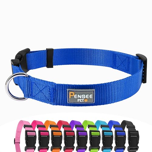 Pet Collars – The 15 best products compared - Wild Explained