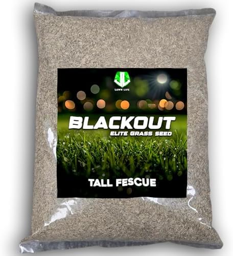 Amazon.com : NightShift (Formerly Blackout) Turf Type Tall Fescue Grass ...