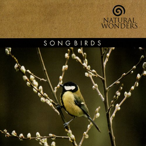 Songbirds | Amazon.com.br