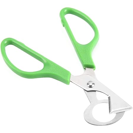 Amazon.com: Pack Of 2 Stainless Steel Pigeon Quail Egg Scissor,Green ...