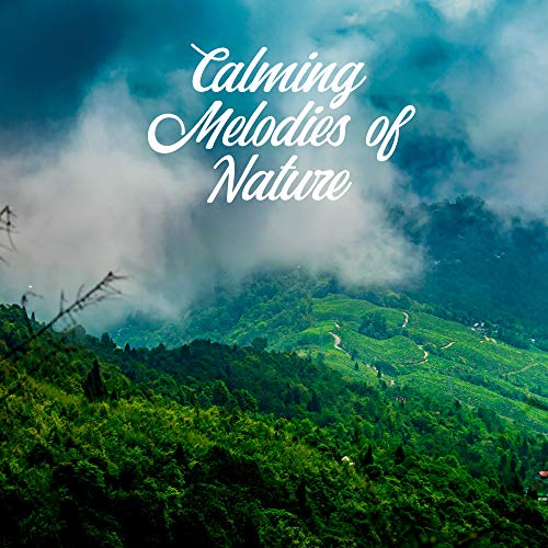 Calming Melodies of Nature - Music That’ll Help You Calm Down, Relax ...