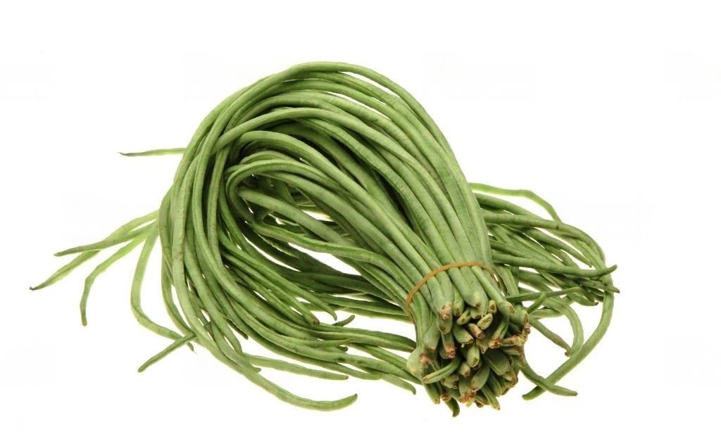 ASHOKE Seeds Long Bean Seeds Barbati Seeds Hybrid Bean Seeds Bilati ...