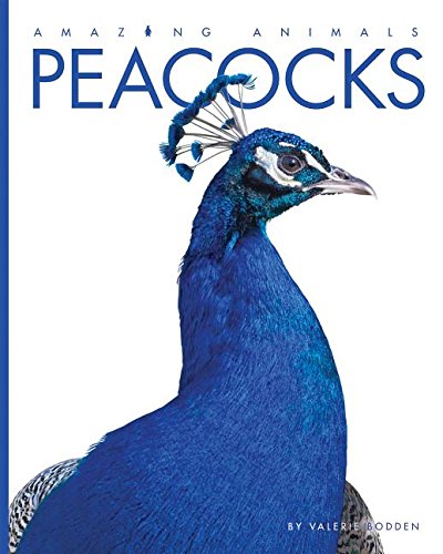 Amazing Animals - Classic Edition: Peacocks Hardcover: Valerie Bodden ...