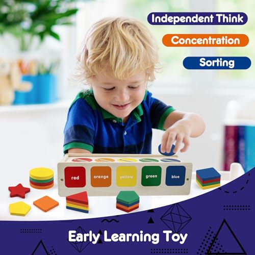 Snapklik.com : ROOCHKD Wooden Sorting Box Montessori Color & Shape ...