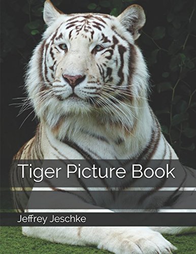 Tiger Picture Book: Jeschke, Jeffrey: 9781549832338: Amazon.com: Books
