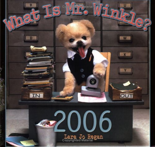 Mr. Winkle, What is ? 2006 12-Month Wall Calendar: Cedco Publishing ...