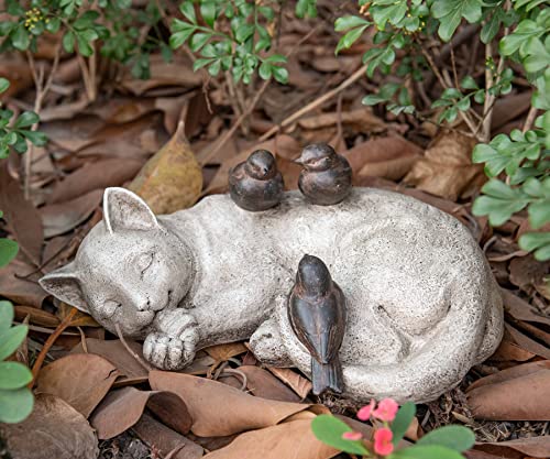 The 29 Best Cat Outdoor Statues of 2026 [Verified] - Cherry Picks