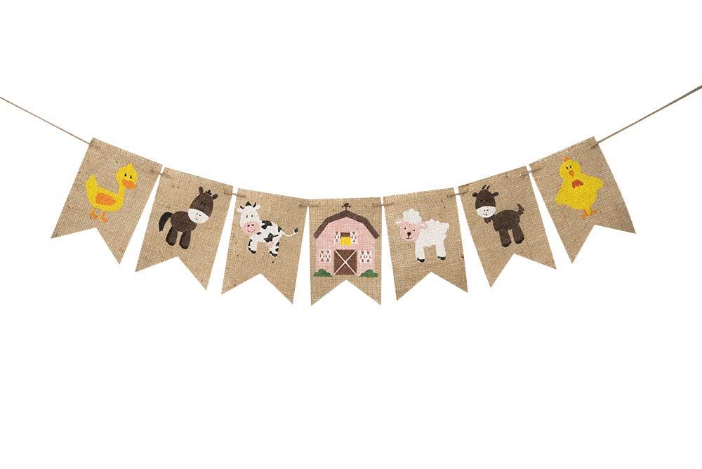 Amazon.com: Swanky Party Box | Farm Animal Pink Barn Banner | Birthday ...
