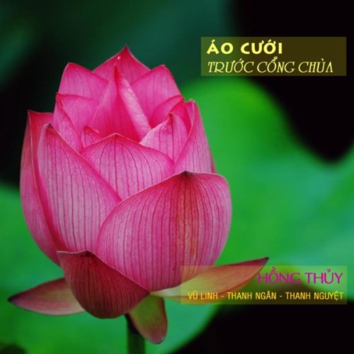 Amazon.com: Ao Cuoi Truoc Cong Chua : Hong Thuy, Vu Linh, Thanh Ngan & Thanh Nguyet: Digital Music