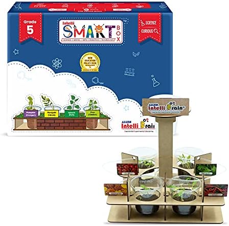 Buy STEM Activity Science Kit 4 in 1 (Intelli Smart Box) for Class 5 by ...