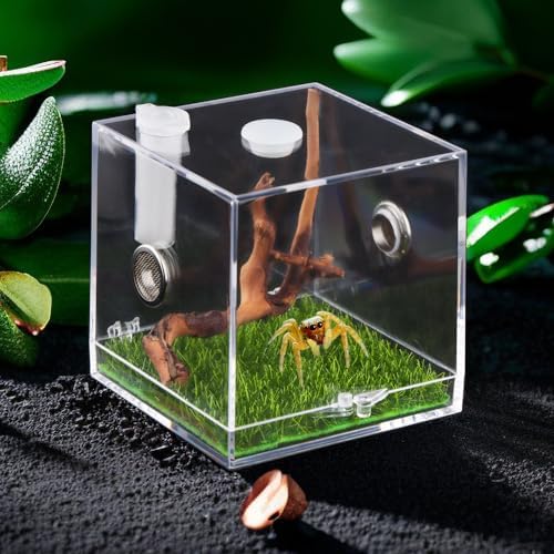 Amazon.com : Jumping Spider Acrylic Breeding Box, Tarantula Transparent ...