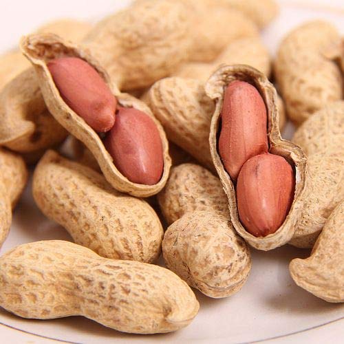 Producer Groundnut With Shell/Sabut Mufali/Raw Peanut/Mungfali; 1kg ...