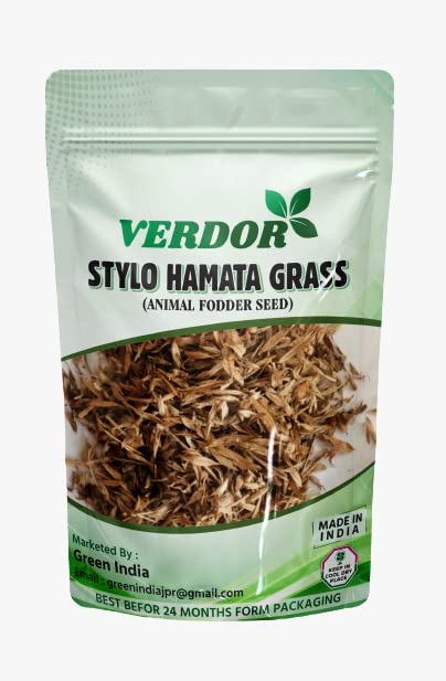 Verdor Stylo Hamata Grass Seed -Grass Seeds - Fodder Seeds -Grass Seeds ...