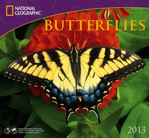 Amazon | National Geographic Butterflies 2013 Calendar | Zebra ...
