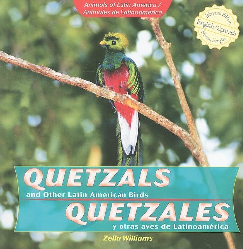 Quetzals and Other Latin American Birds / Quetzales y otras aves de ...