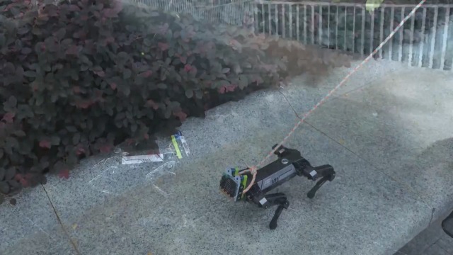 Watch ELECFREAKS XGO microbit Robot Dog Kit SEAM 12 Movable Joint on ...