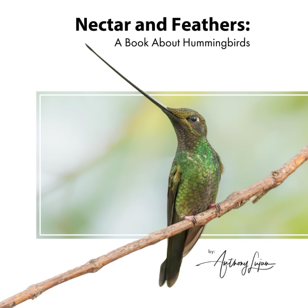 Amazon.com: Nectar and Feathers - A Book About Hummingbirds ...