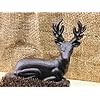 Amazon.com: Cast Iron Deer Boot Brush Scraper Made with Cast Iron ...