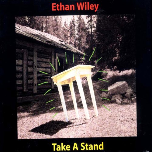Amazon.com: Take A Stand : Ethan Wiley: Digital Music