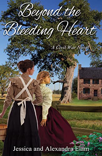 Beyond the Bleeding Heart: A Tale of the American Civil War (The Beyond ...