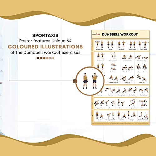 SPORTAXIS- No-Equipment Laminated Dumbbell Workout Poster with Colored ...