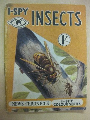 I-Spy Insects (''News Chronicle''. I-spy colour series): Amazon.co.uk ...
