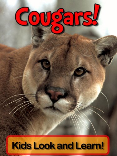 Cougars! Learn About Cougars and Enjoy Colorful Pictures - Look and ...
