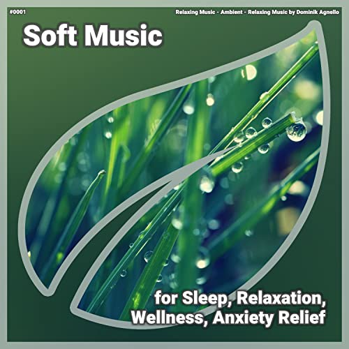 Amazon Music - Relaxing Music & Ambient & Relaxing Music by Dominik ...