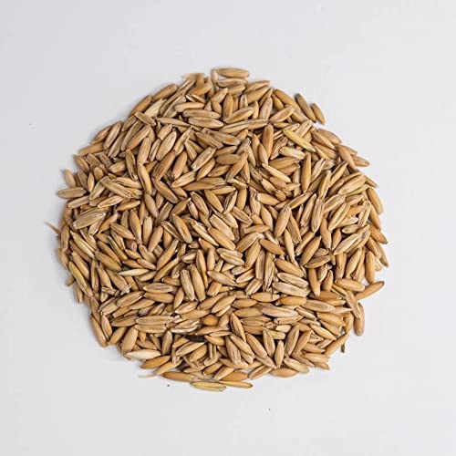 Sampada Agritech | Pusa Basmati Paddy Seeds Sugandha 5 | Dhan, Rice ...