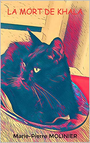 LA MORT DE KHALA: Pour celles et ceux qui ont du chagrin quand leur ...