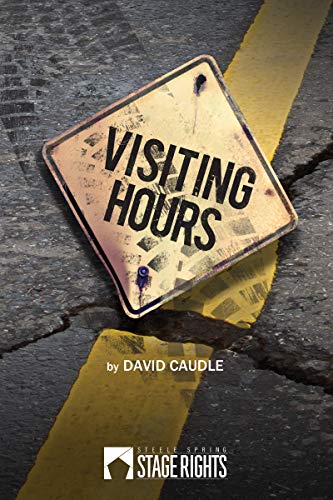 Visiting Hours eBook : Caudle, David: Amazon.in: Kindle Store
