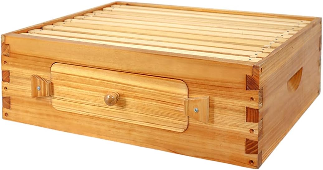 Amazon.com: BeeCastle 10 Frame Medium Bee Hive Box, Langstroth Beehive ...