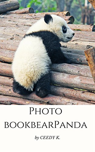 Photo book Panda: Photo book Panda panda for Children 1-10 years old ...
