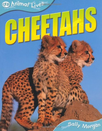 Cheetahs (Animal Lives): Sally Morgan: 9781848350243: Amazon.com: Books