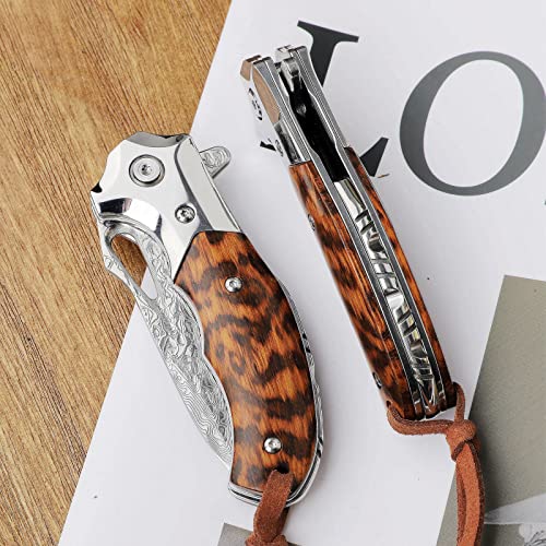 The 6 Best ALVELY Pocket Knives of 2026 [Verified] - Cherry Picks