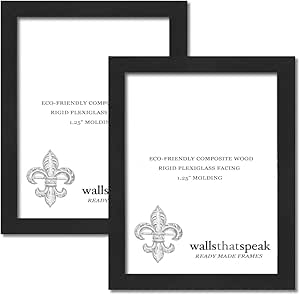Amazon.com - wallsthatspeak 16x27 Black Picture Frame for Puzzles ...