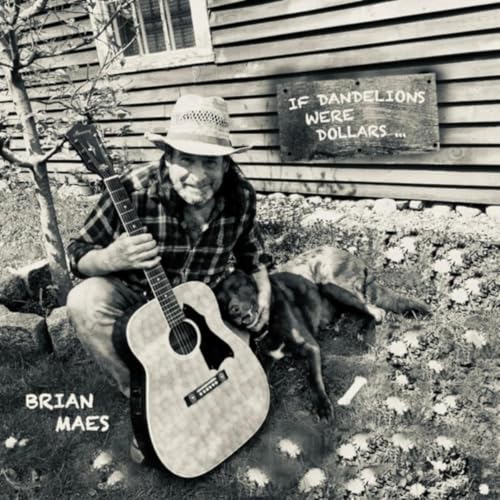 Play If Dandelions Were Dollars by Brian Maes on Amazon Music