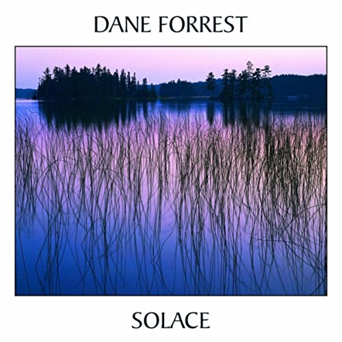 Amazon.com: Solace : Dane Forrest: Digital Music