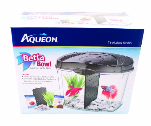Aqueon Betta Falls Tank: A Detailed Overview - Animals Log